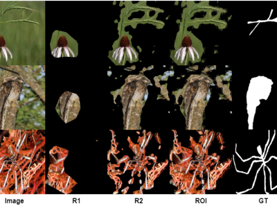 A Multichannel Localization Method for Camouflaged Object Detection | SigPort